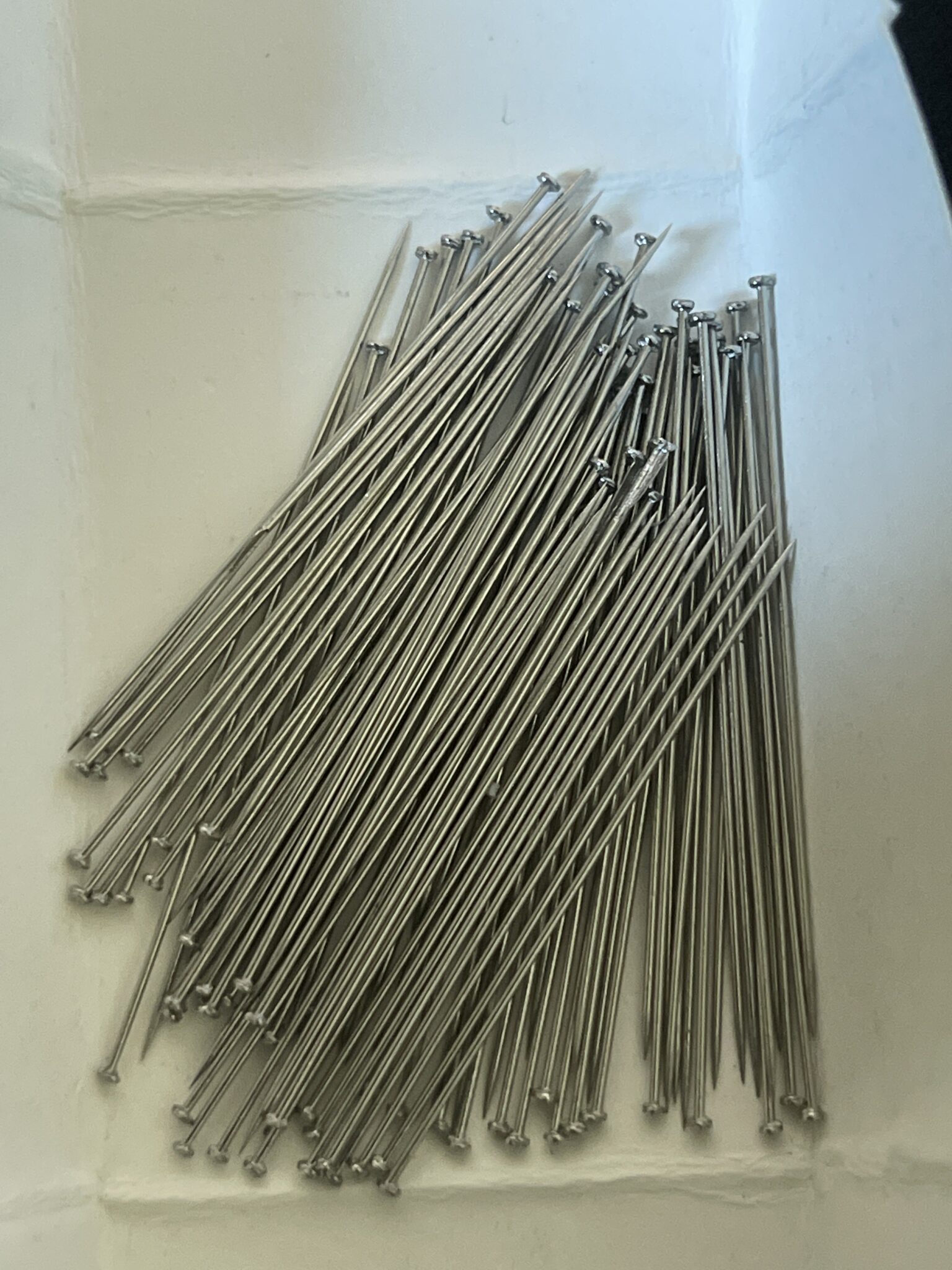 Insect Pins - Find the Best Insect Pin For You - Ecology Supplies