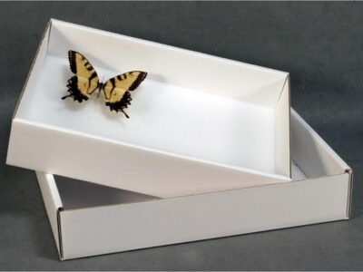 Entomology Supplies and Ecology Supplies