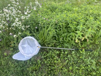 Entomology Supplies and Ecology Supplies