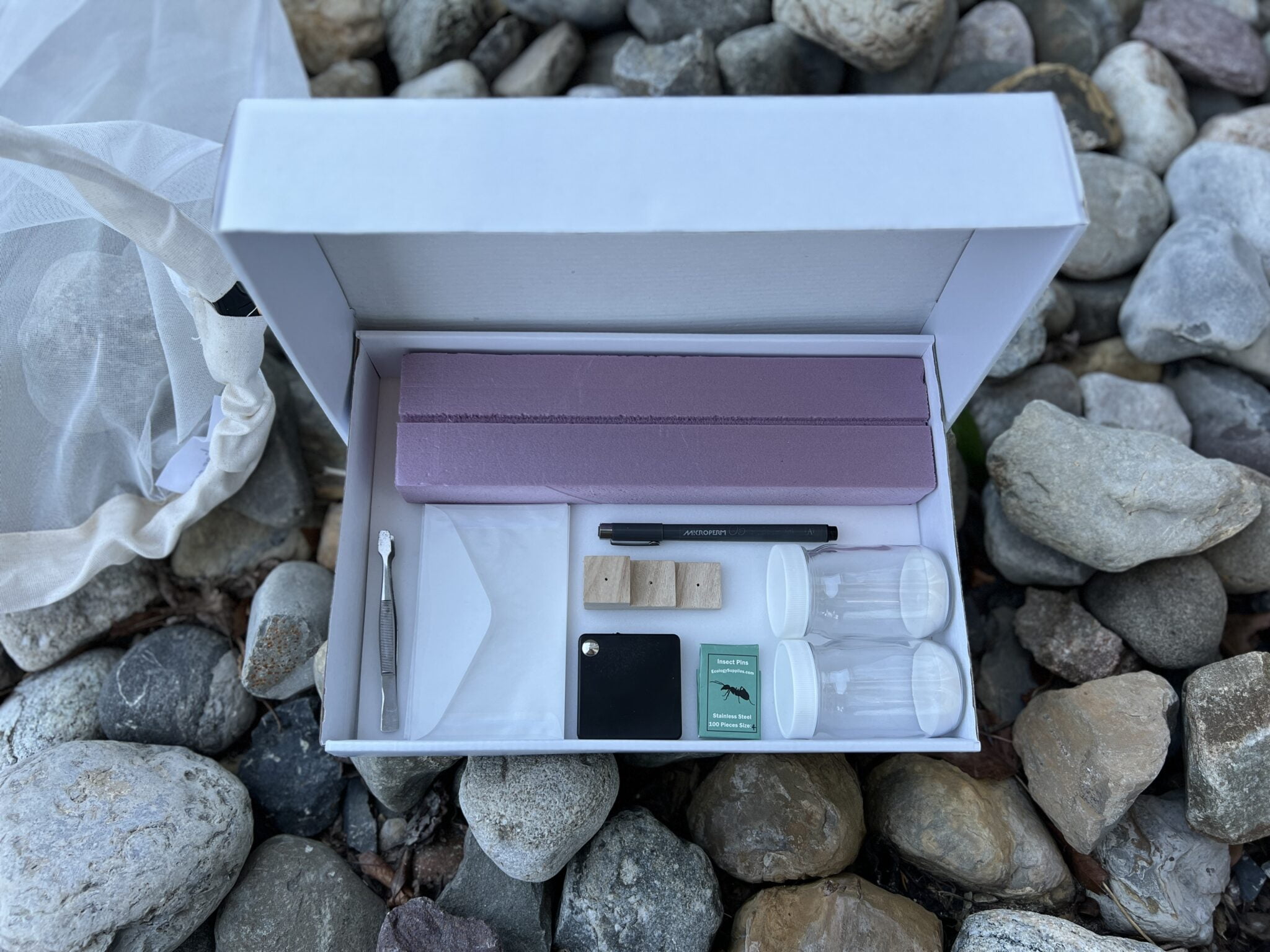 Student Insect Collection Kit - Ecology Supplies