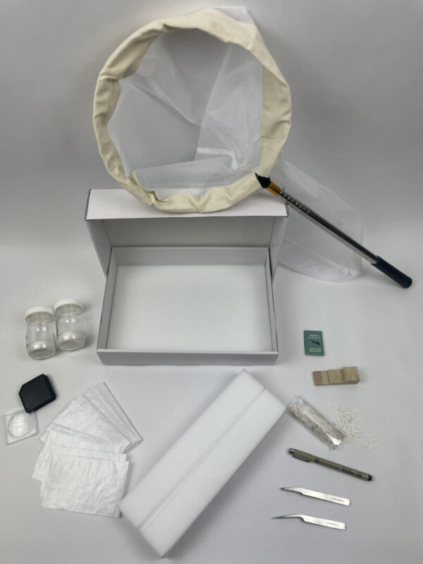 Student Insect Collection Kit - Ecology Supplies