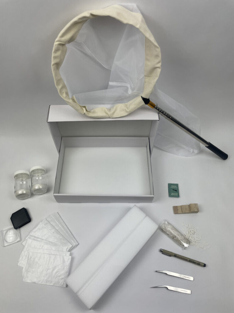 Student Insect Collection Kit - Ecology Supplies
