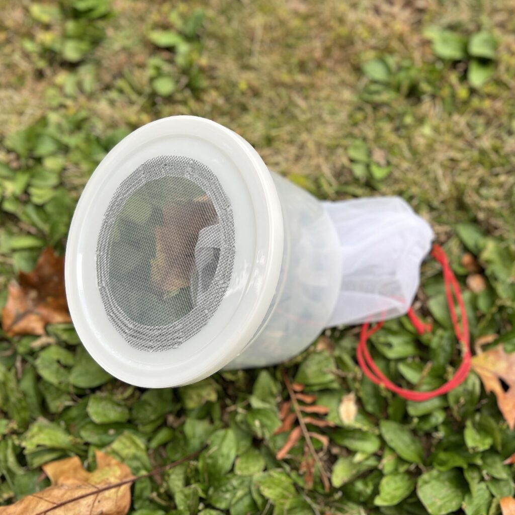 Gravid Traps - Reiter Cummings Inspired Gravid Mosquito Trap - Ecology ...