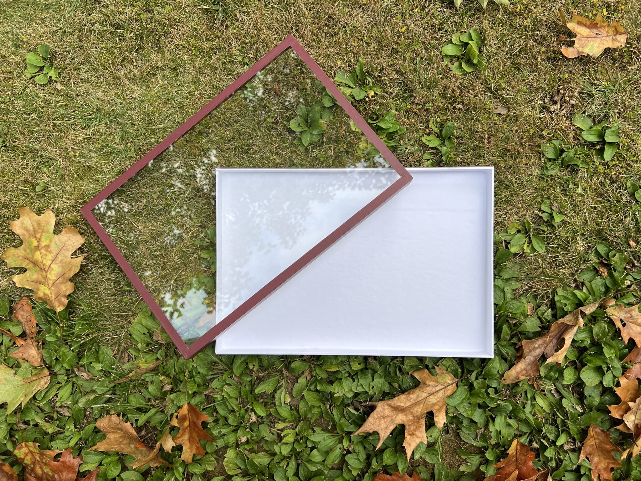 Insect Display Box - Ecology Supplies