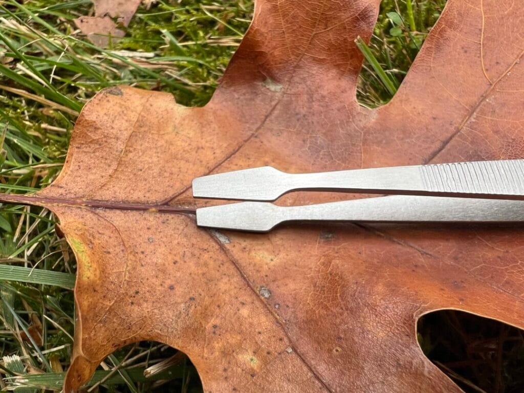 Spade Tip Forceps - Ecology Supplies