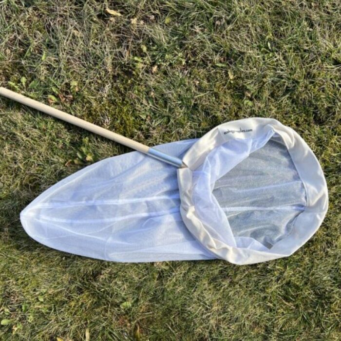 Wooden Handle Insect Net - Ecology Supplies