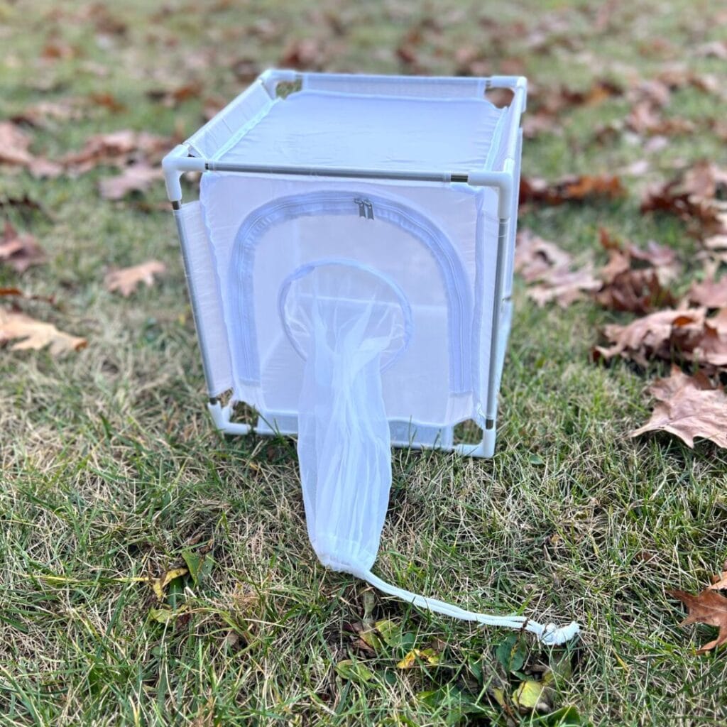 Insect Rearing Cage (Metal Frame) - Ecology Supplies