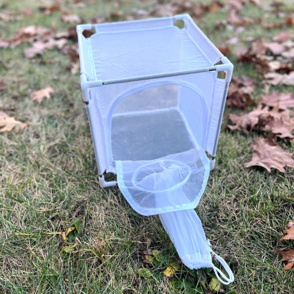 Insect Rearing Cage (Metal Frame) - Ecology Supplies