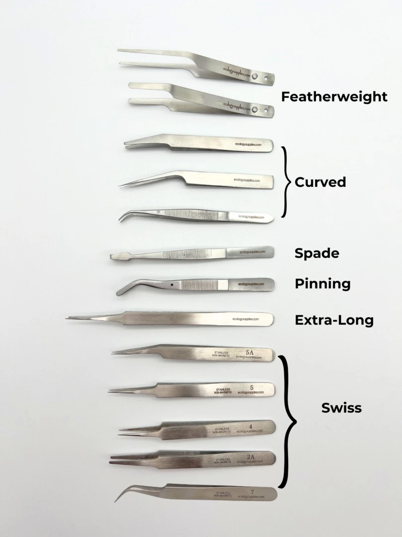 Forceps Sampler - Ecology Supplies