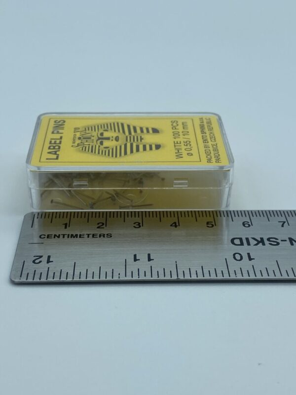 Insect Pins - Find the Best Insect Pin For You - Ecology Supplies