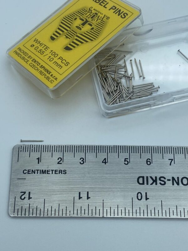 Insect Pins - Find the Best Insect Pin For You - Ecology Supplies