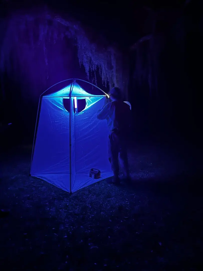 Light Trap Collecting Tent - Ecology Supplies