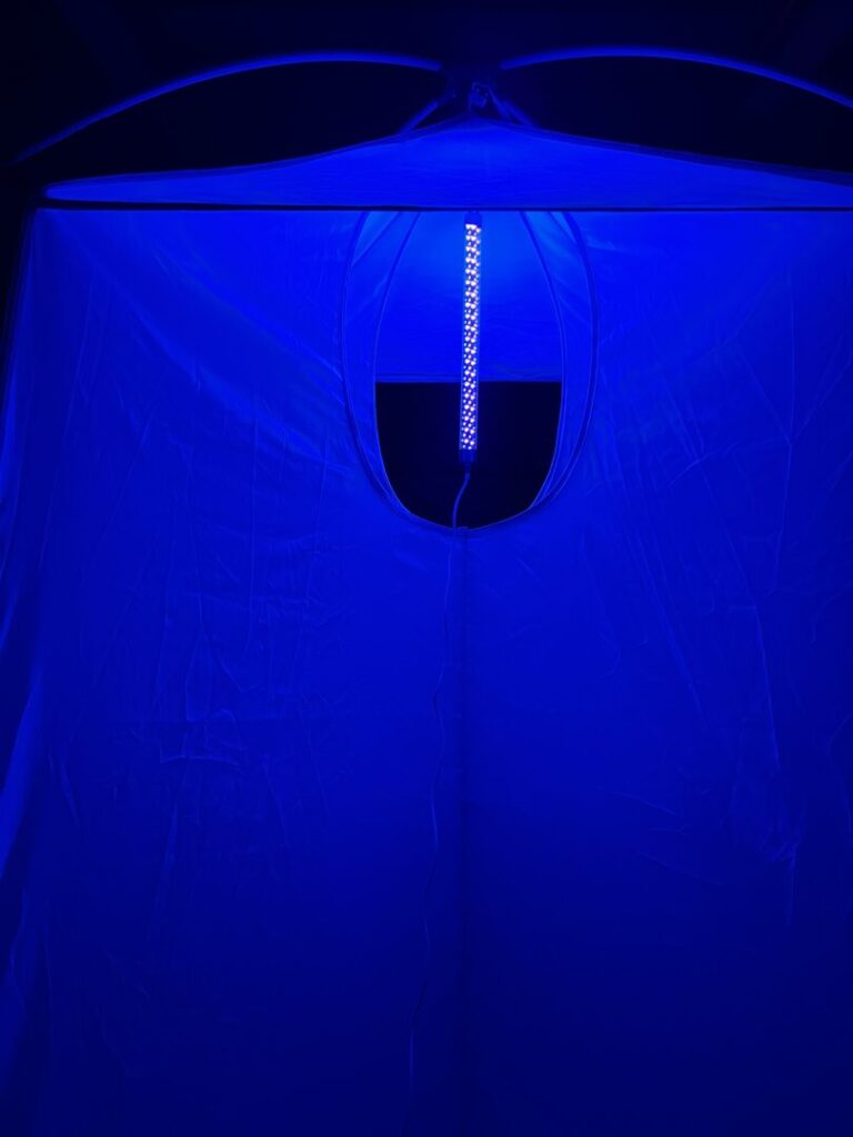 LED Blacklight - UV Light for Insect Collection - Ecology Supplies