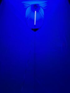 LED Blacklight - UV Light for Insect Collection - Ecology Supplies