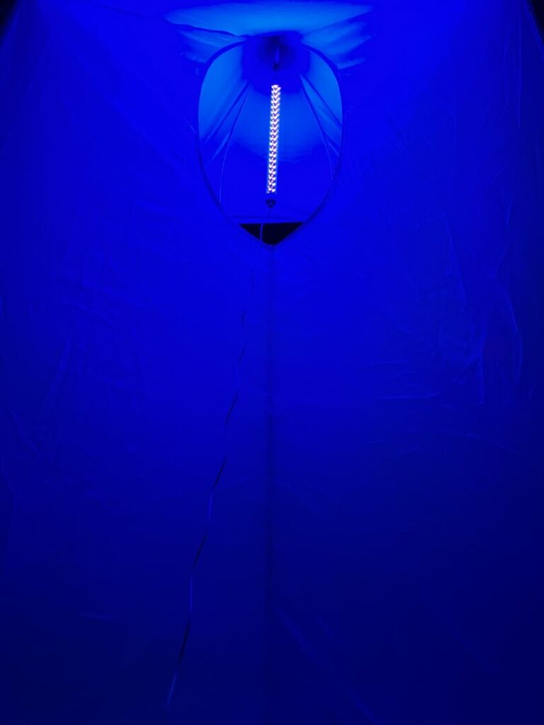 LED Blacklight - UV Light for Insect Collection - Ecology Supplies