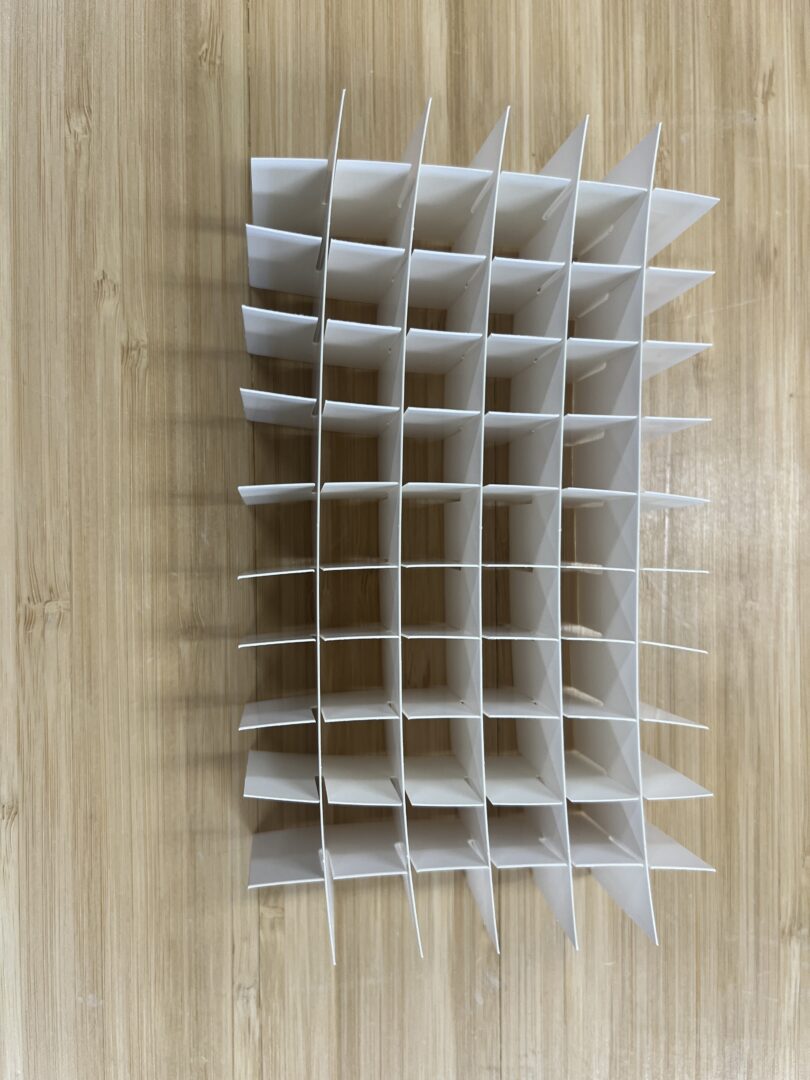 Vial Organizer Dividers - Ecology Supplies