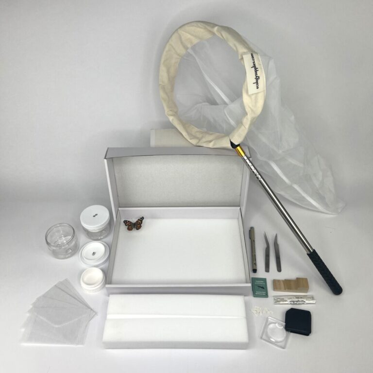 Entomology Supplies and Ecology Supplies