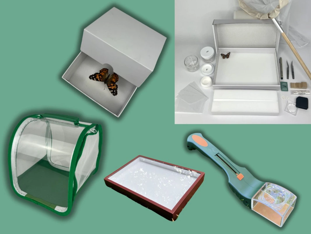 Entomology Gifts: 18 Ideas for the Holidays