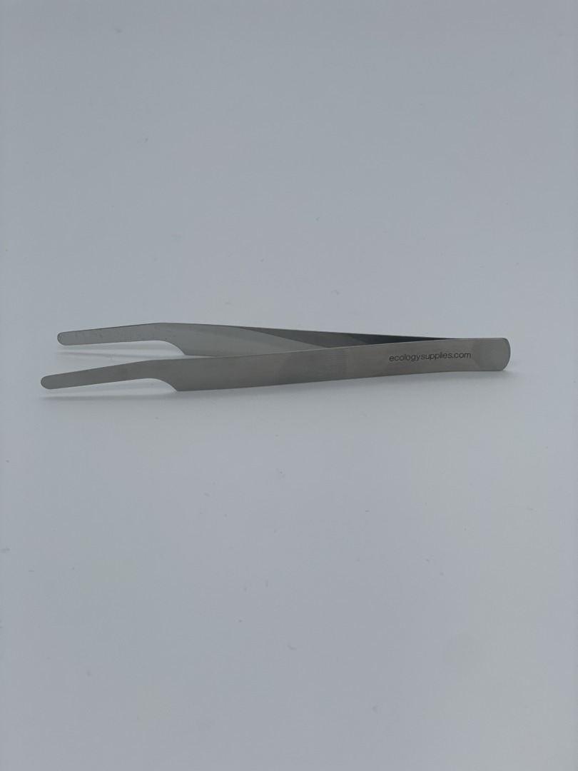 Lightweight Forceps - Ecology Supplies